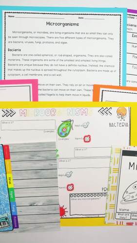 Microbes and Microorganisms Unit Worksheets Review Activities by ...