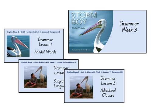 Storm Boy Unit 9 - Component A Wk3 (Vocabulary, Fluency & Grammar)