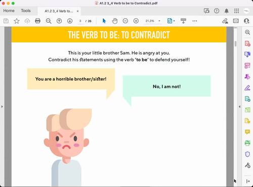 ESL Beginners Lesson: Learn Contradict with the Verb To Be | TPT