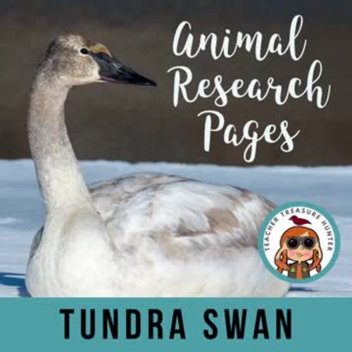 Tundra Swan Bird Animal Research Page Arctic Animal Reports print and go
