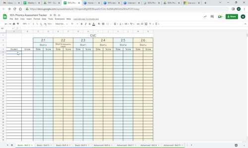 95% Phonics Intervention Skill Check Data Tracker by Makayla Thomas