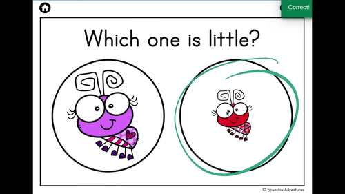 Valentine's Day Basic Concepts Boom Cards™ by Speechie Adventures