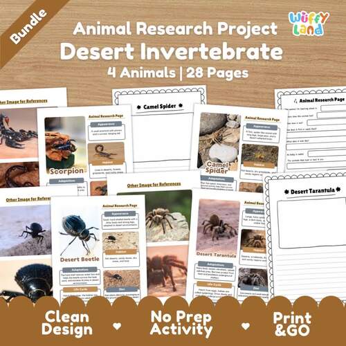 Desert Invertebrate Animal Research Project BUNDLE | Insects & Spiders ...