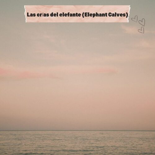 Safari de animales bebés(spanish) | Audio Book | preschool and kindergarten