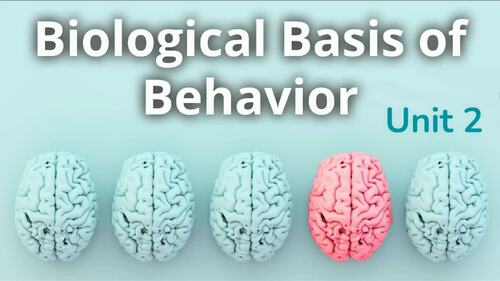 AP Psychology - Complete Course Lecture Notes **DISCOUNTED Growing Bundle**