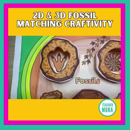 2D & 3D Fossil Matching Craft | Earth Science Activity | Dinosaur ...