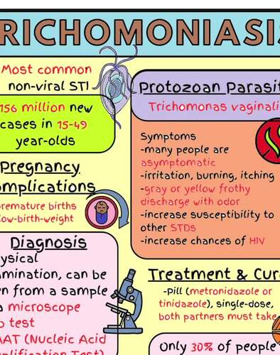 STDs Doodle Notes | Health | FACS by Secondary Science HQ | TPT