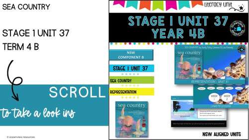 STAGE 1 HUGE BUNDLE TERMS 4A & 4B NSW DET English Units Component B