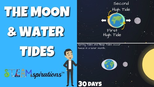 spring tides are caused