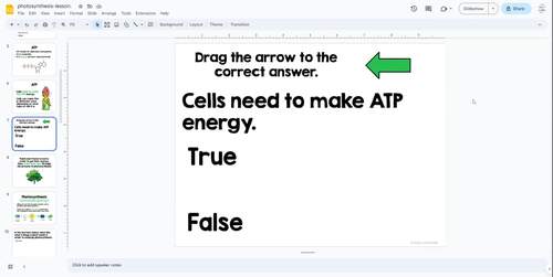 Photosynthesis Lesson - Interactive - PPT and Google Slides | TPT