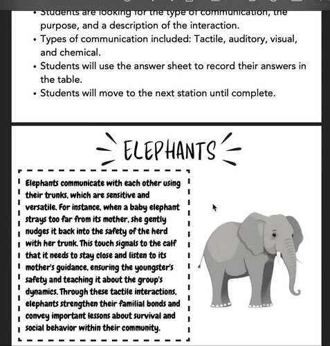 Animal Communication Gallery Walk by A Dads Classroom | TPT