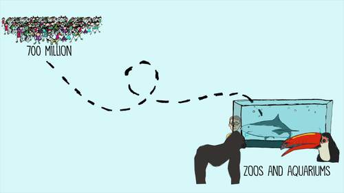 Socratic Seminar - Zoos Discussion Slides, Graphic Organizers and Handouts