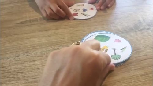 Visual Discrimination Game by Kidequip | TPT