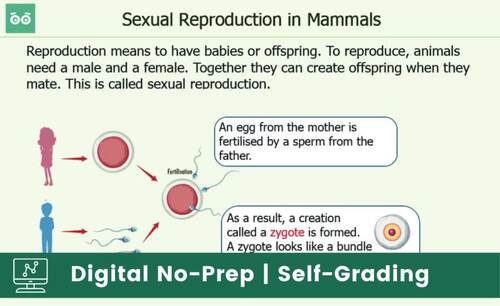 Sexual Reproduction in Mammals Digital Science Lesson | Self-Grading ...