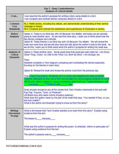 All Because You Matter by Tami Charles Lesson Plan & Google Activities