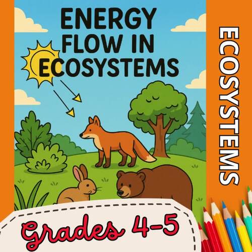 Energy Flow in Ecosystems – Coloring Book, Food Chain & Energy Pyramid