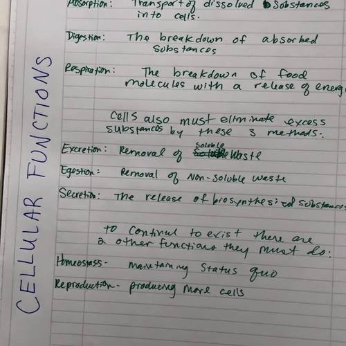 Build a Cell Diagram- Interactive Notebook by Karyn- Teach Beside Me