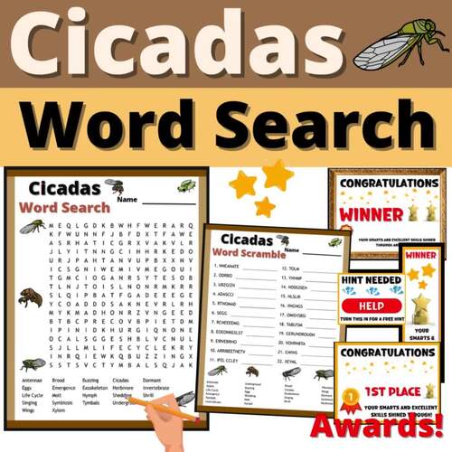 Cicada Word Search Puzzles Activity Cicadas Insect Resource by DadsDesigns