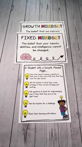 Intro to Growth Mindset Lesson by Carly and Adam STEM Activities and ...