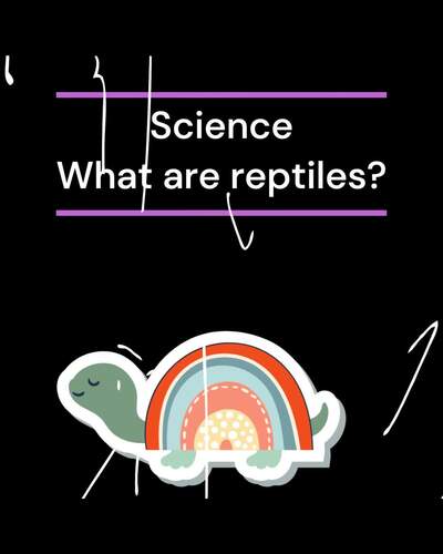 Science What are reptiles? | Fun Science Activities & Worksheets