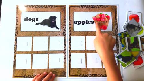 FREE Sorting Non-Identicals for Special Education Video by Angie S