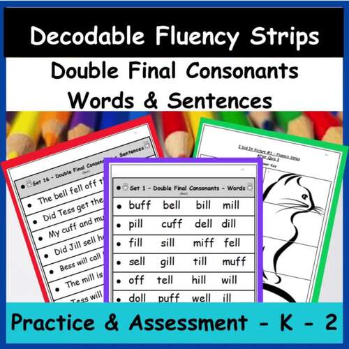 Fluency Strips – Double Final Consonants - Words/Sentences – Prac ...