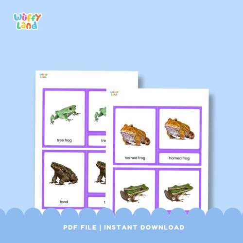 Montessori 3 Part Card Amphibians Real Image by Wuffyland | TPT