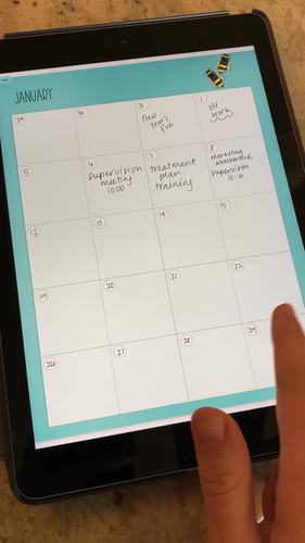 The Busy BCBA Planner by The Busy BCBA | TPT