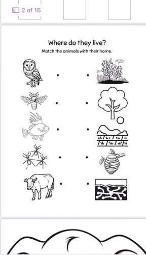 Zoo Animal Coloring Pages | Field Trip to the Zoo Activities | Animal Unit