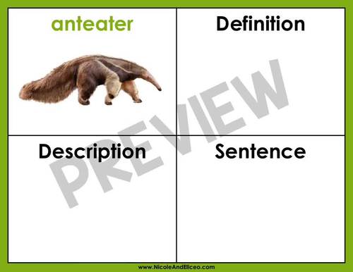 Jungle Habitat Interactive Academic Vocabulary by Nicole and Eliceo