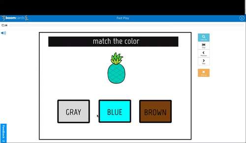 Boom Cards™ Color Identification: Tropical Themed Objects | TPT
