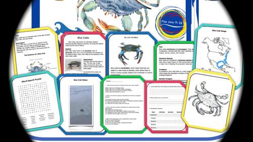 Blue Crab Habitat and Adaptation Science Lesson by Mrs Lena | TPT