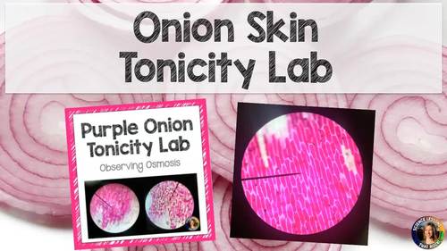 Cell Membrane Osmosis Microscope Lab using Onion Skin | TPT