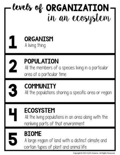 Ecosystems Science Anchor Charts | Posters | Reference Guides for ...