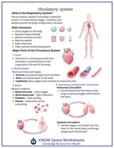 Circulatory System Worksht:Heart, Blood, Vessels & Flow (Grades 4–7 ...