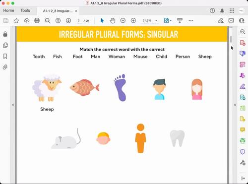 ESL Beginners Lesson: Learn Irregular Plural Forms in English | TPT