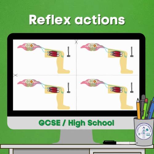 Reflex actions (GCSE) by CMGs Science lessons | TPT