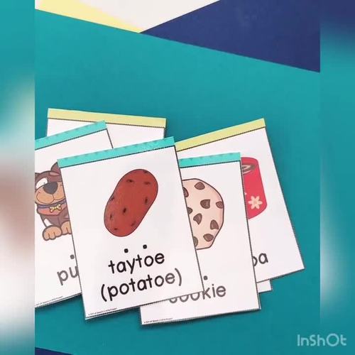 Apraxia of Speech CVCV Flash Cards Multisyllabic Articulation Practice