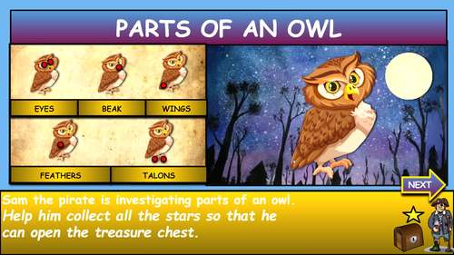 Parts Of An Owl: Unit Bundle: Presentation| Drag & Drop | Puzzles ...