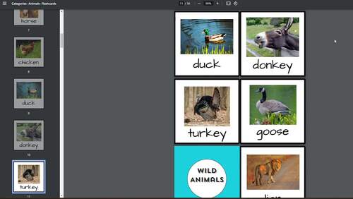 Animal Flash Cards | Categories | Speech Therapy Activities ...