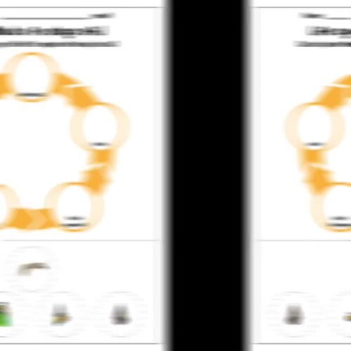 Life Cycle of Animals, Plant and Water - Cut, And Paste Worksheets by ...