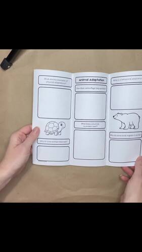 Animal Adaptation Craft Brochure Reading passage activity 3rd grade ...