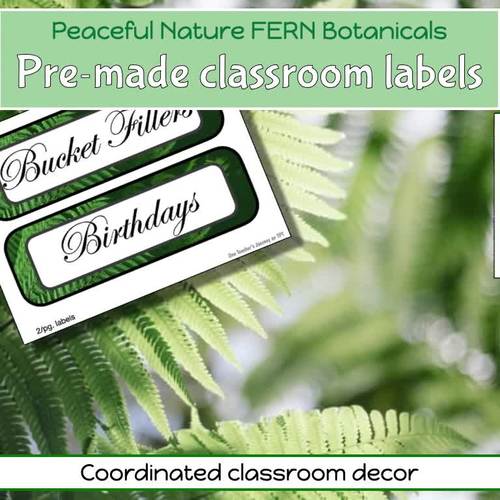 Print-Ready classroom labels in FERN Theme coordinates Classroom Decor