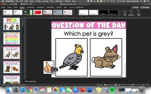Pets Questions of the Day | Printable and Interactive Options | TPT