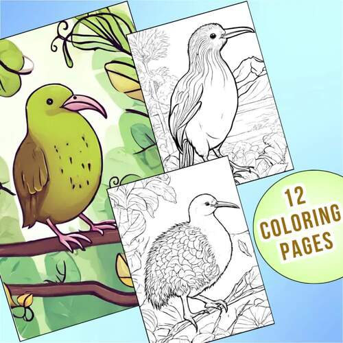 coloring pages of kiwi
