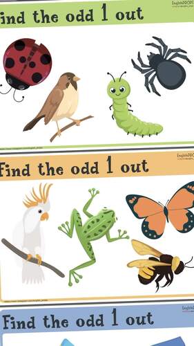 Odds in Spring by English PROPS | TPT