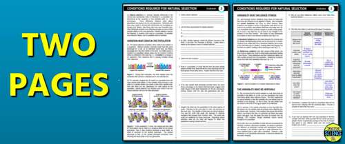 Natural Selection - Evolution Learning Module 3 (PDF & Digital) | TPT