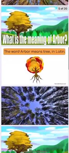 All About Arbor Day- Power Point Lesson Presentation NO-PREP | TPT