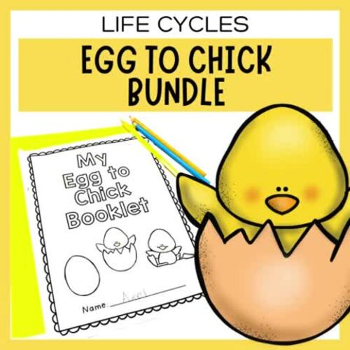 Egg to Chick Observation Bundle | Digital Presentation & Hatching Journal