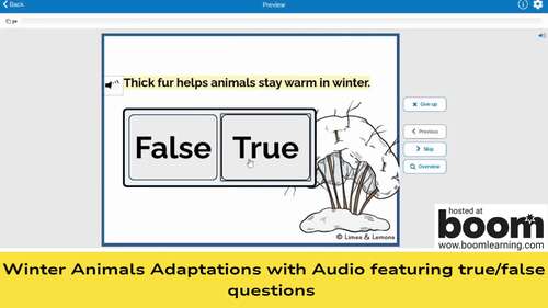 Winter Animals Adaptations Animals in Winter with Audio Boom™ Cards